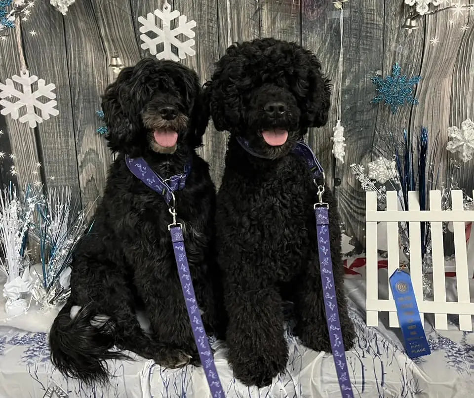 Collars | Fuzzywumpets